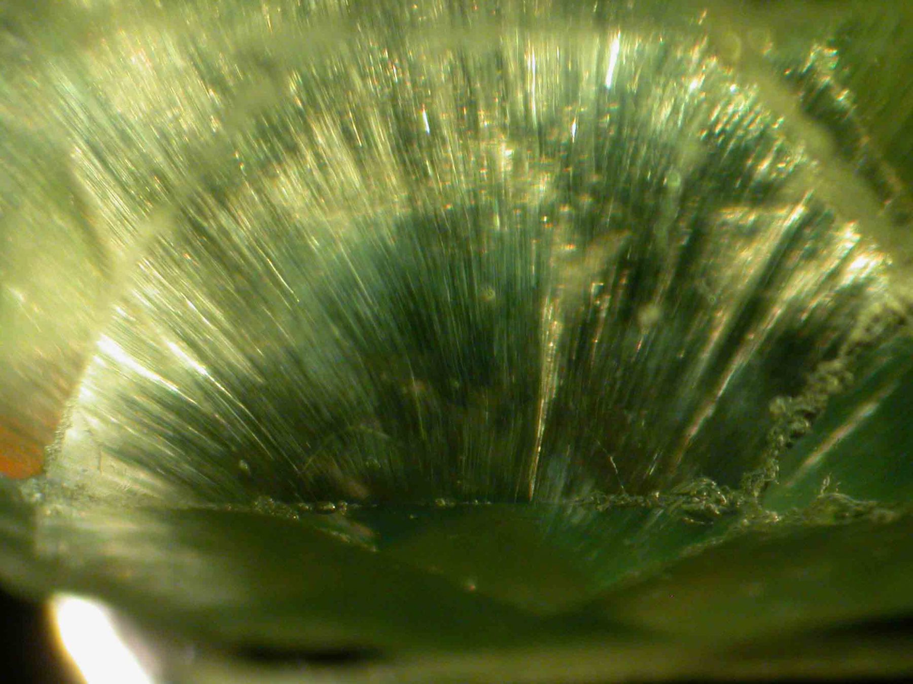 Formation of Inclusions - The Natural Gemstones Company | The Natural ...