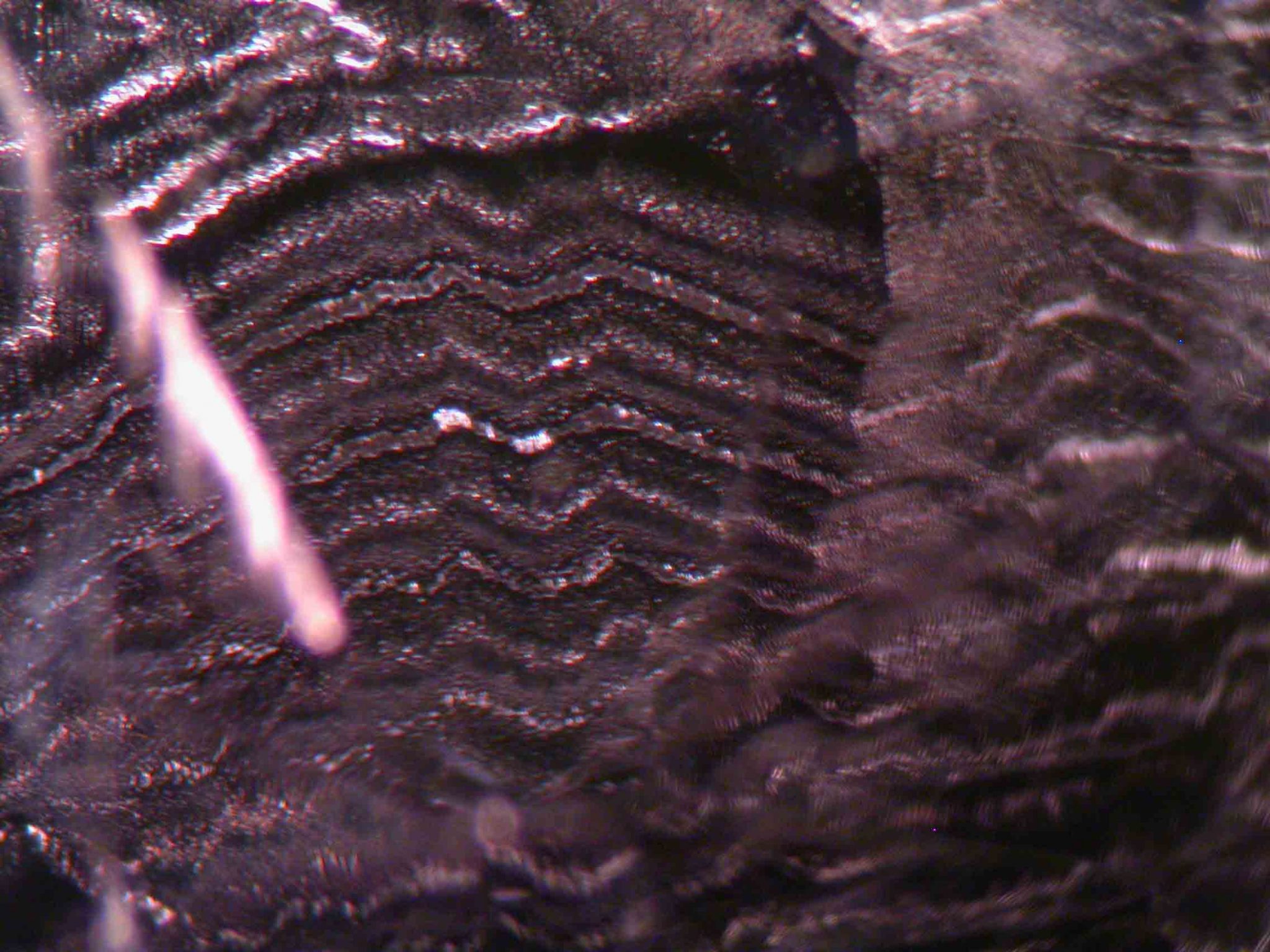 Formation of Inclusions - The Natural Gemstones Company | The Natural ...